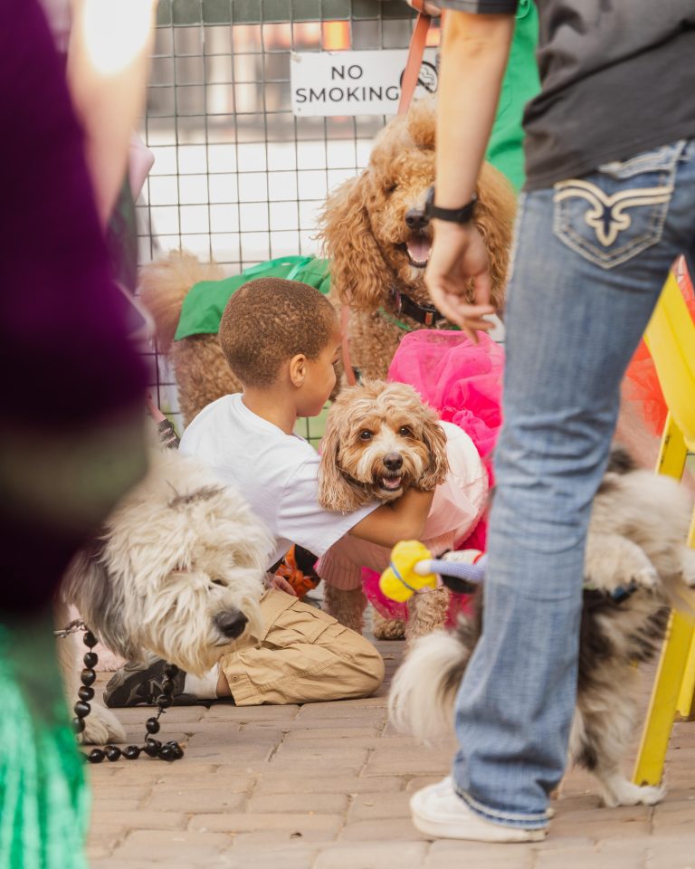 Pups + Pints : Adoption Event - Greenwood Brewing